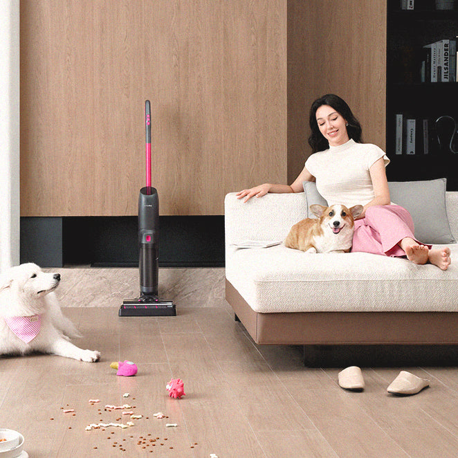 Vacuum Cleaner – Schenley